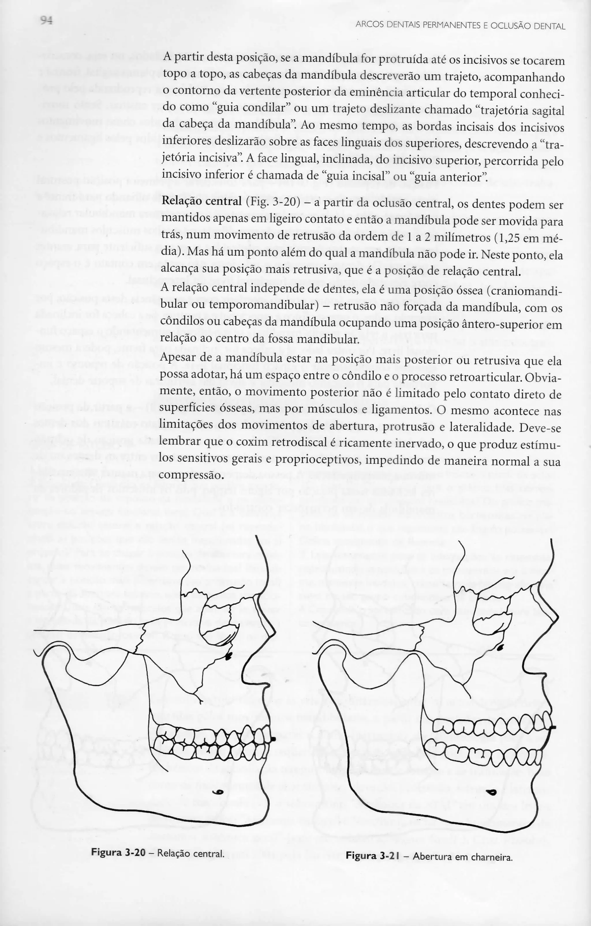 Livro: Anatomia do dente | PDF