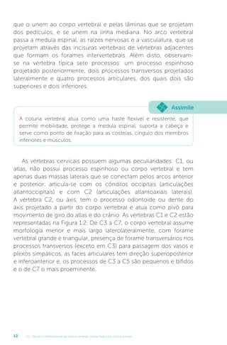LIVRO CIÊNCIAS MORFOFUNCIONAIS DO APARELHO LOCOMOTOR - MEMBROS ...