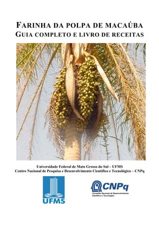 Livro De Receitas Macauba | PDF
