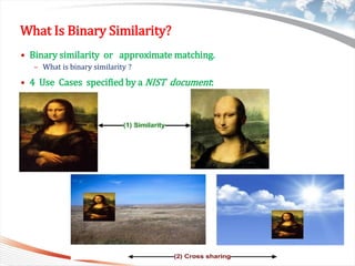 Binary Similarity : Theory, Algorithms and Tool Evaluation | PDF