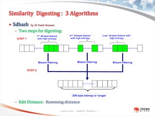 Binary Similarity : Theory, Algorithms and Tool Evaluation | PDF