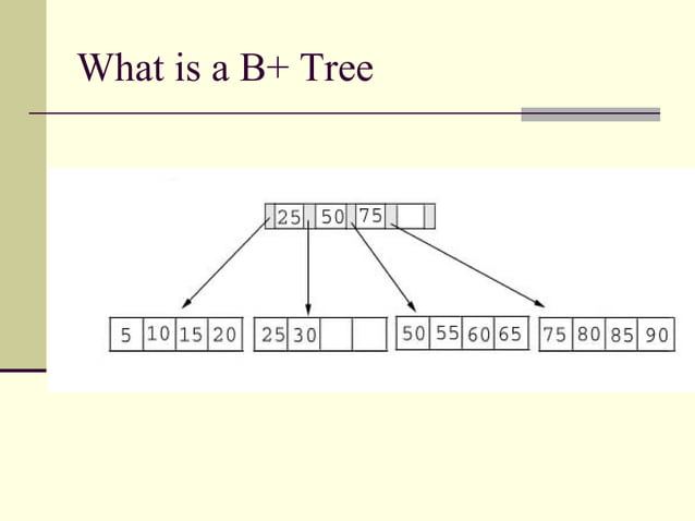 b+ tree