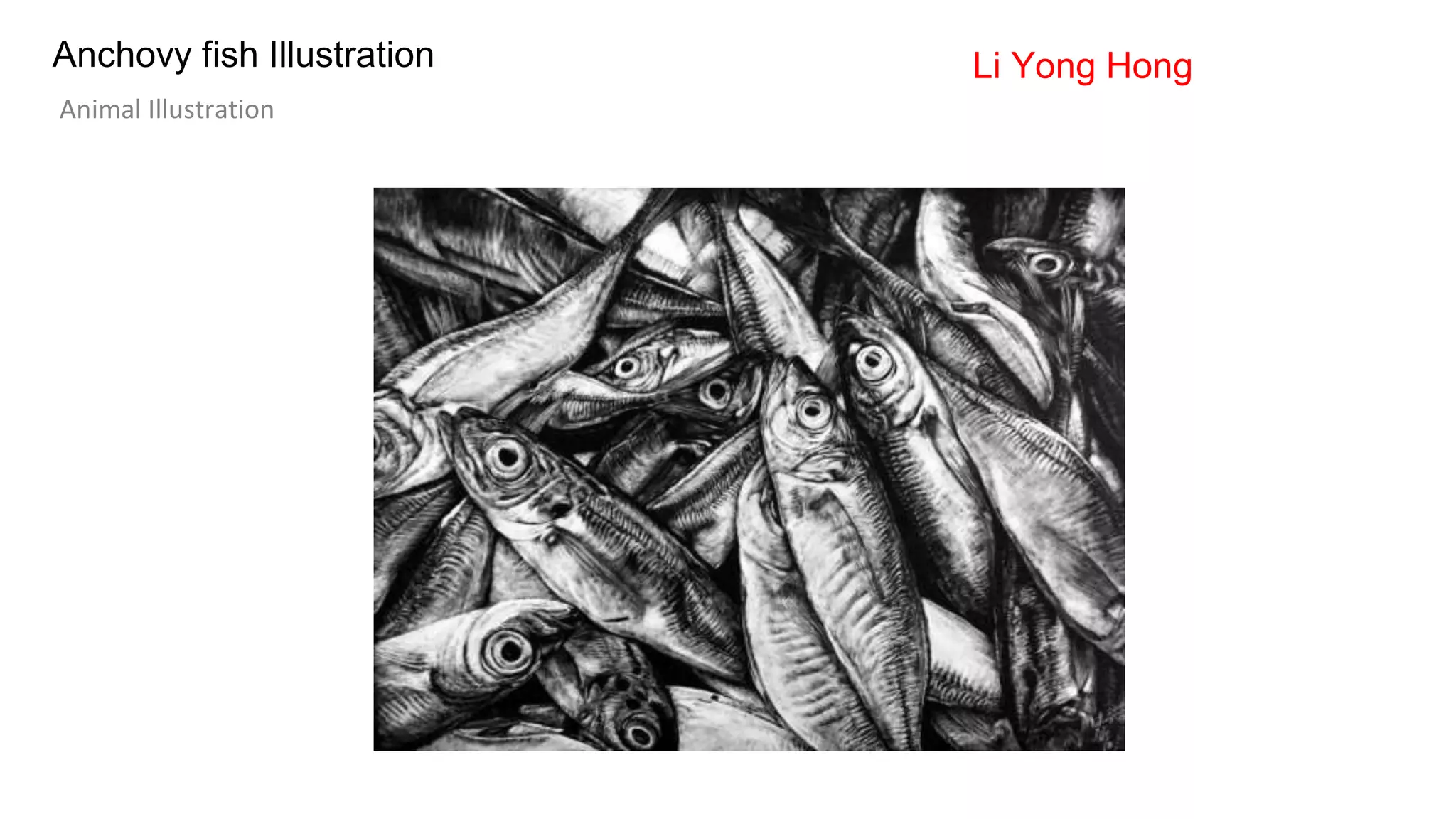 Li yong hong animal and black & white illustrator | PDF