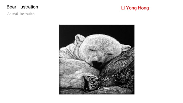 Li yong hong animal and black & white illustrator | PPT