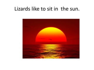 Lizards | PPTX