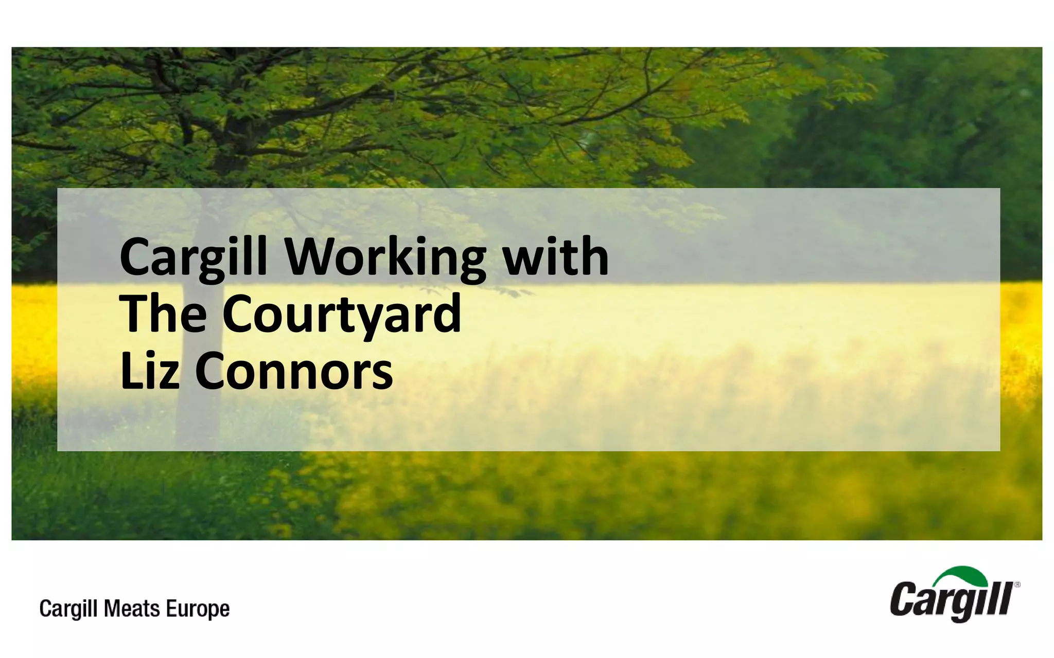 Liz Connors' Presentation | PPT