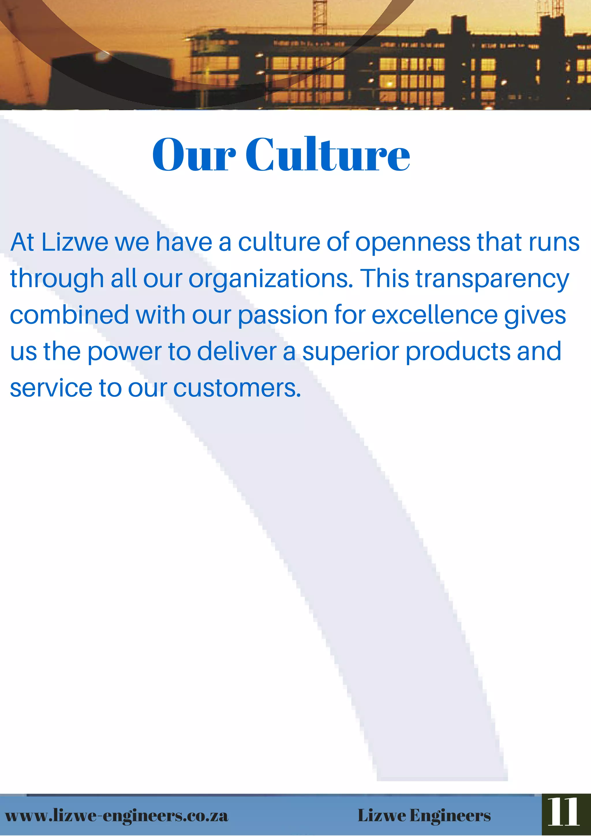 Lizwe engineers profile 1 | PDF