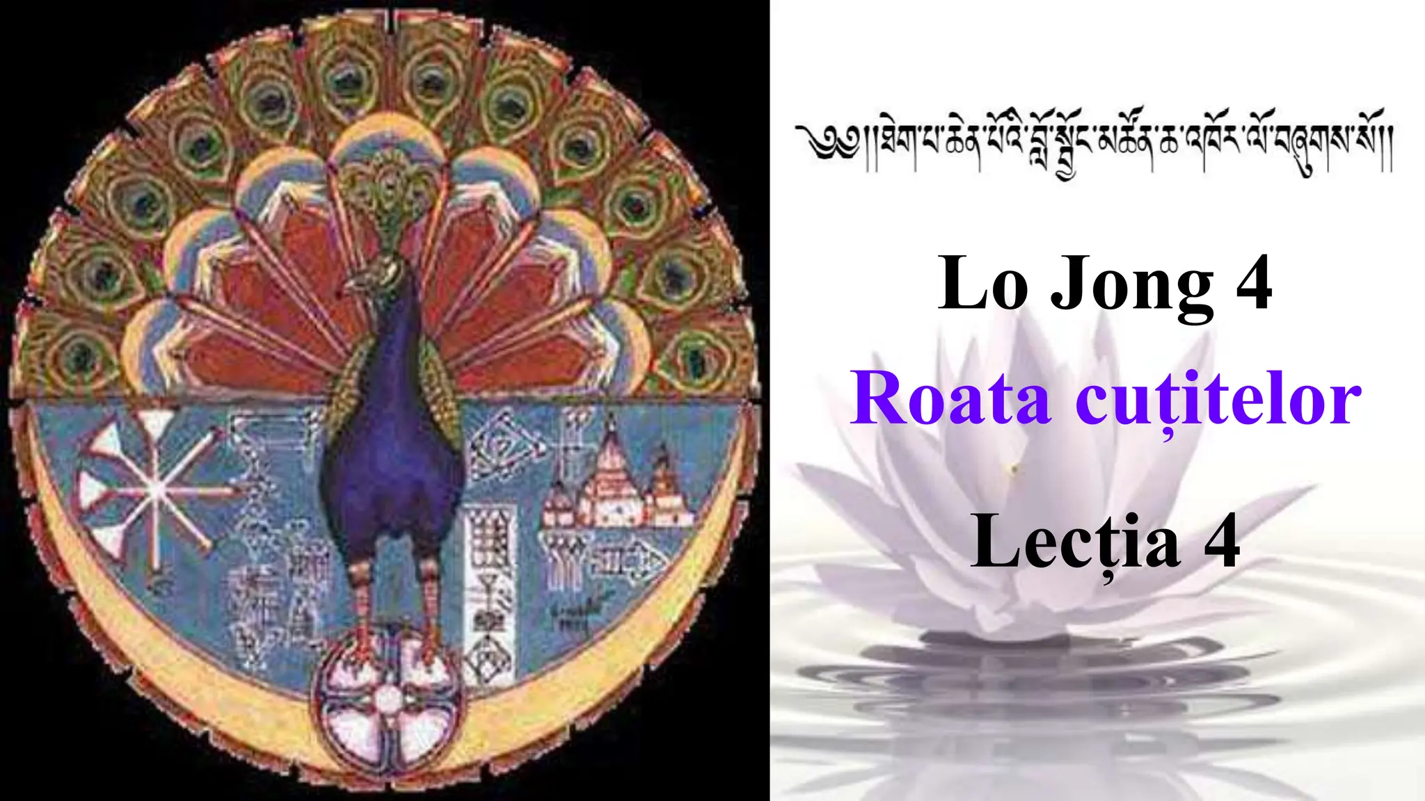 Cursul Aci 14 - LJ4 - prezentare Lectia 4.pptx