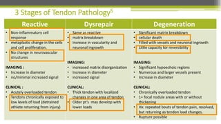 Tendon Loading Program for Long Distance Runner | PPT