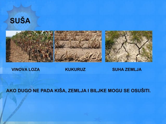 Ljeto - priroda ljeti | PPT