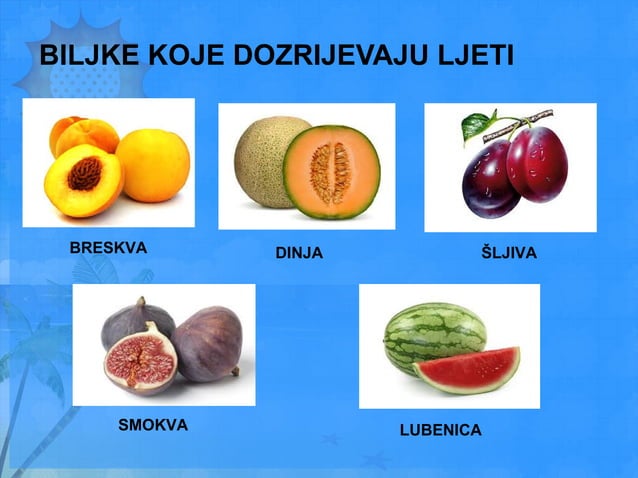 Ljeto - priroda ljeti | PPT