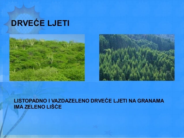 Ljeto - priroda ljeti