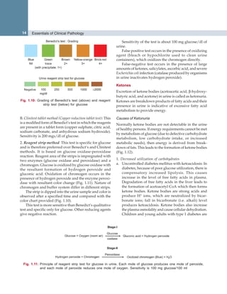 Essentials of clinical pathology (2010) | PDF