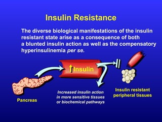 201 metabolic dyslipidemia | PPT