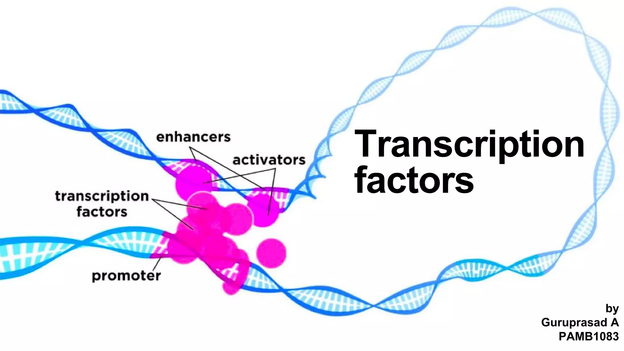 Plant_Transcription_factors | PPTX