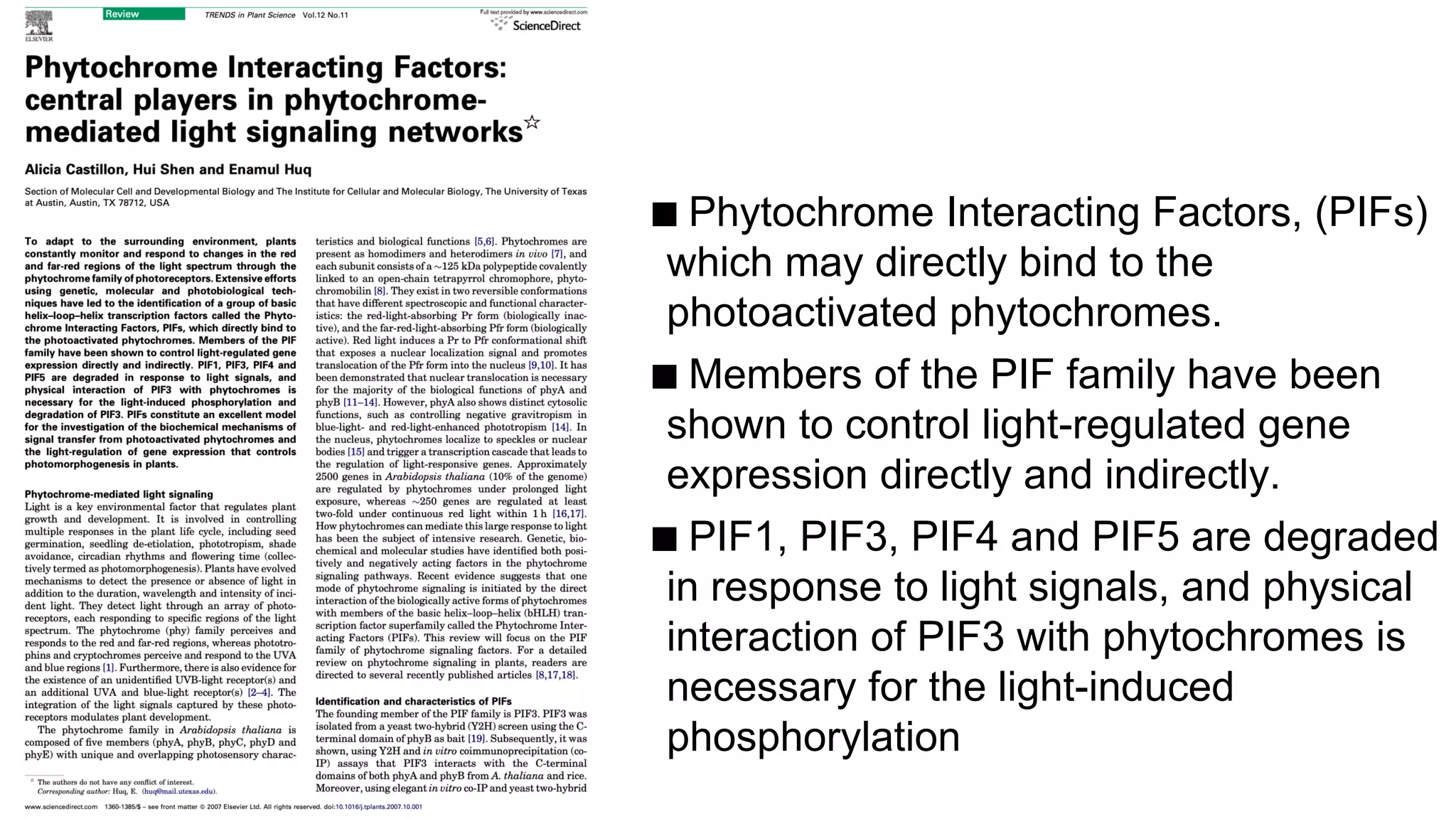 Plant_Transcription_factors | PPTX