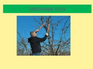 Ljudi u proljeće | PPT