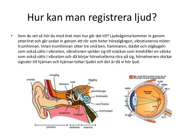 Ljud och ljus Hanna