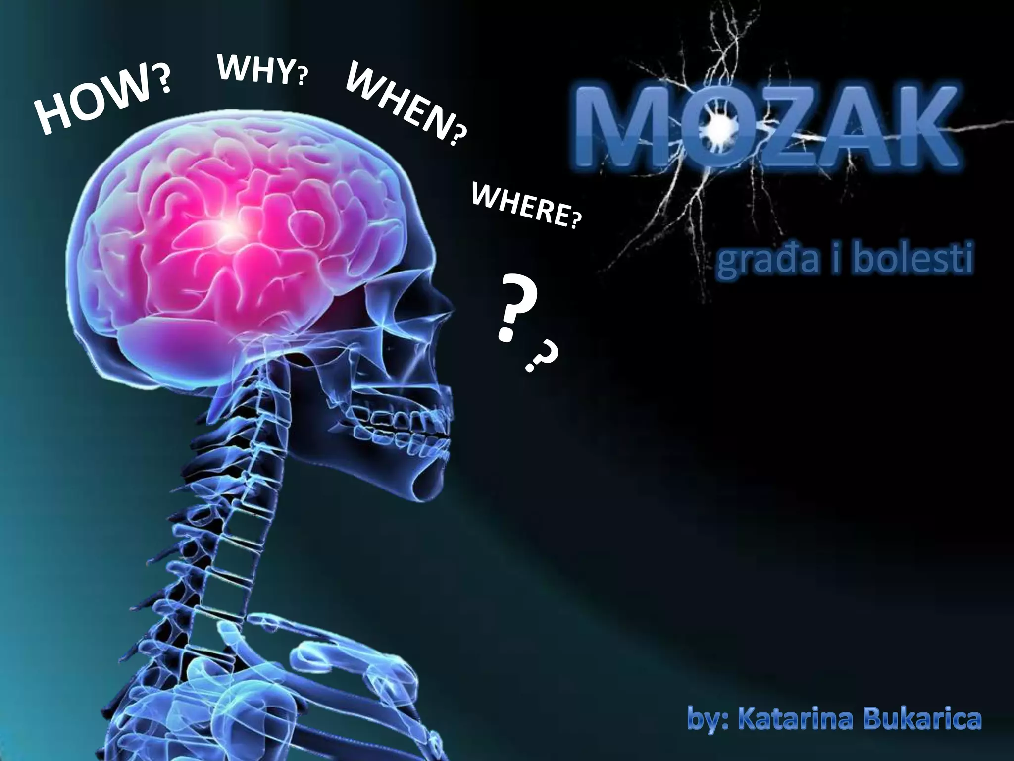 Ljudski mozak-Human brain-by Katarina Bukarica-Zadar-Croatia | PPT