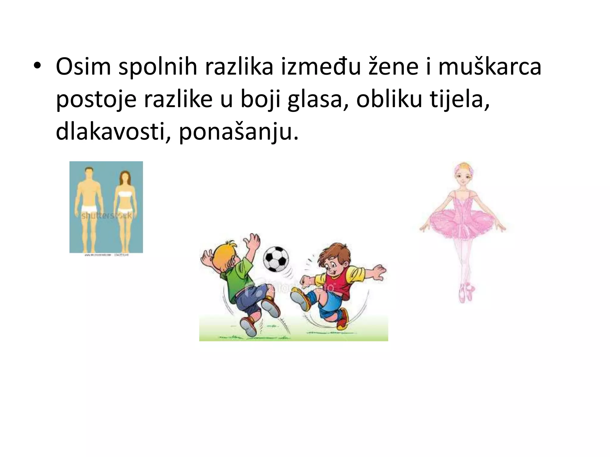 LjUDSKO TIJELO.ppt
