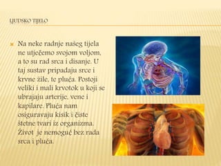 Ljudsko tijelo sophia d. | PPTX