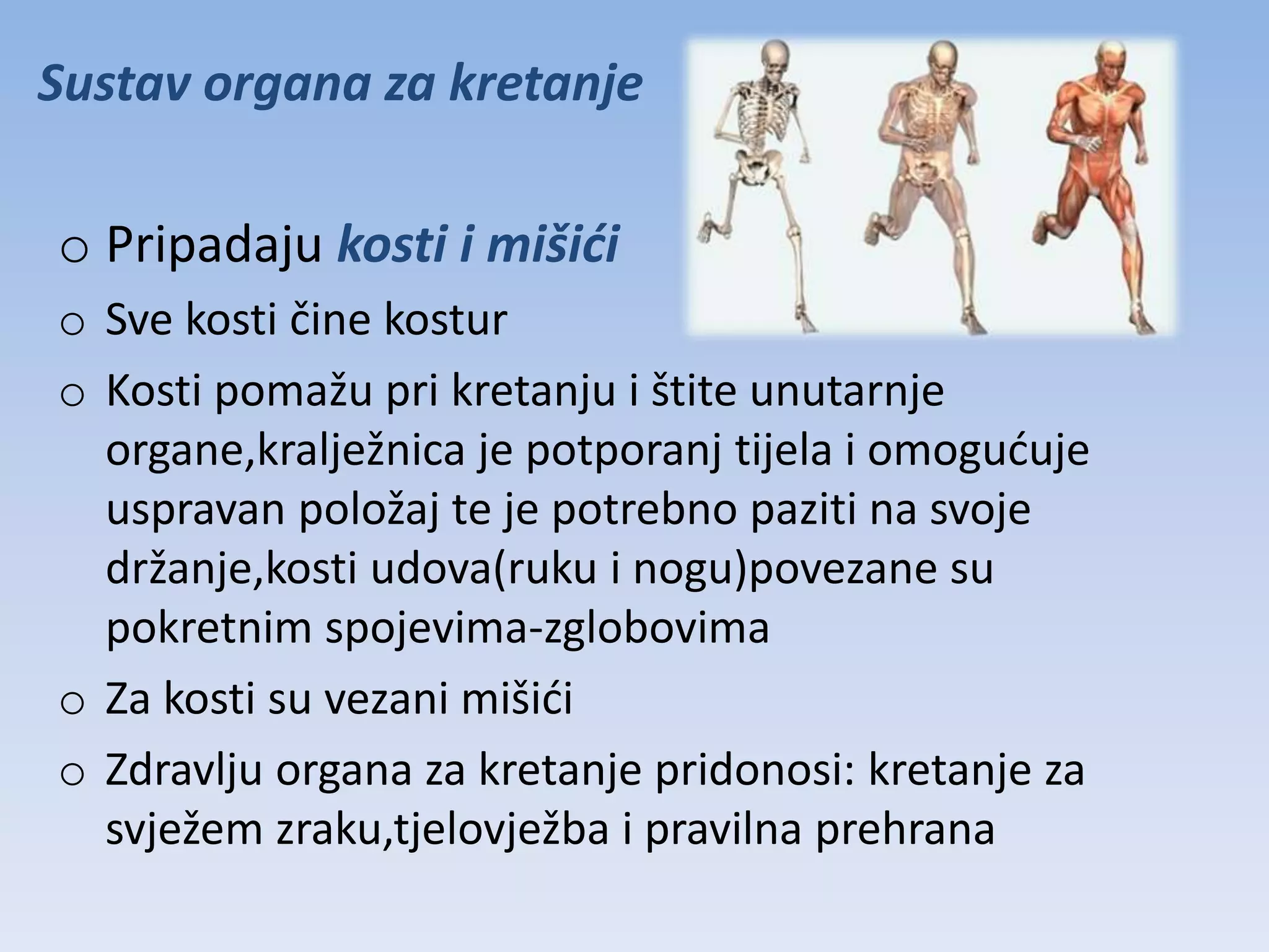 Ljudsko tijelo klara hreščić | PPTX