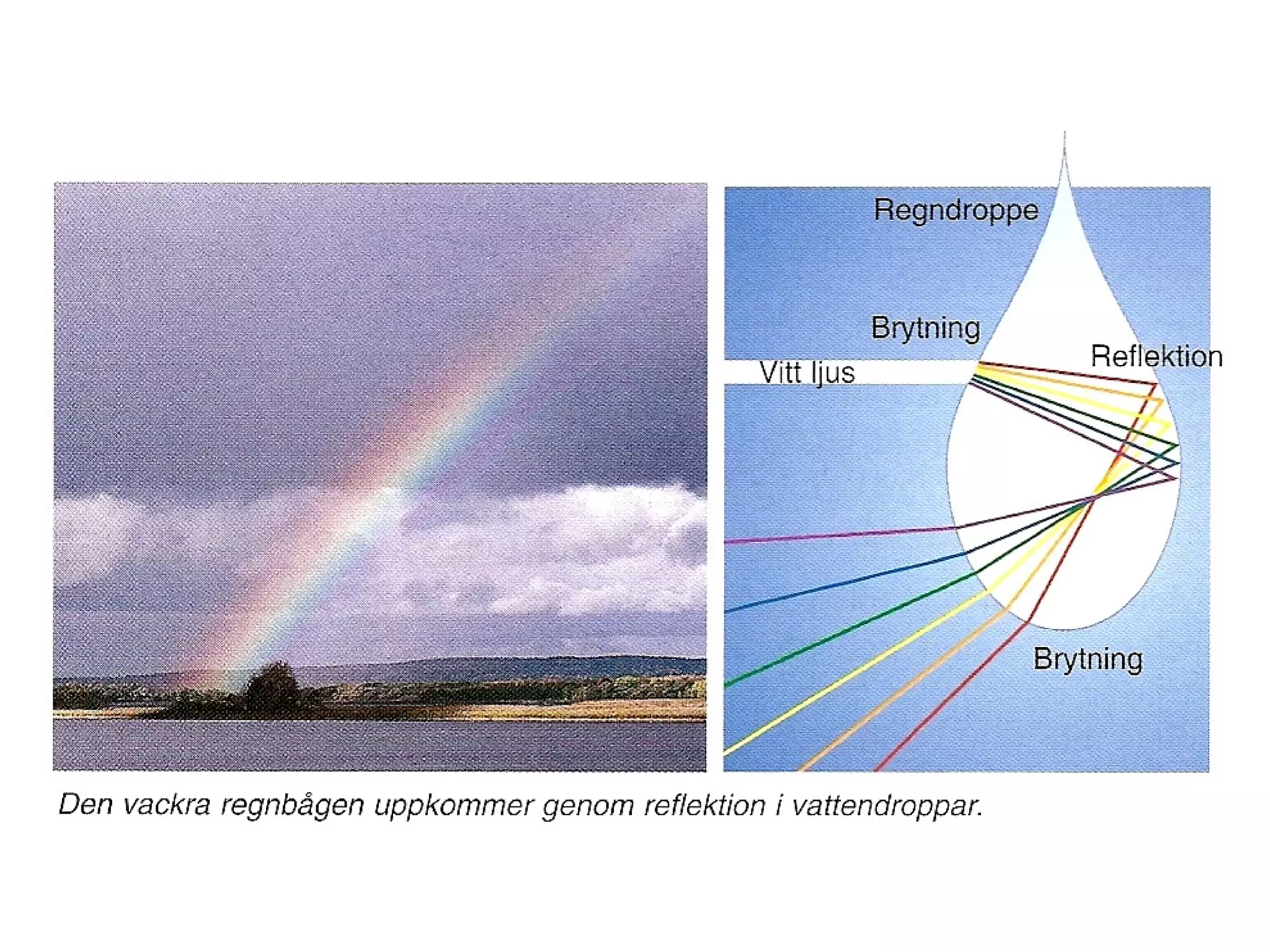 Ljusets brytning | PPT