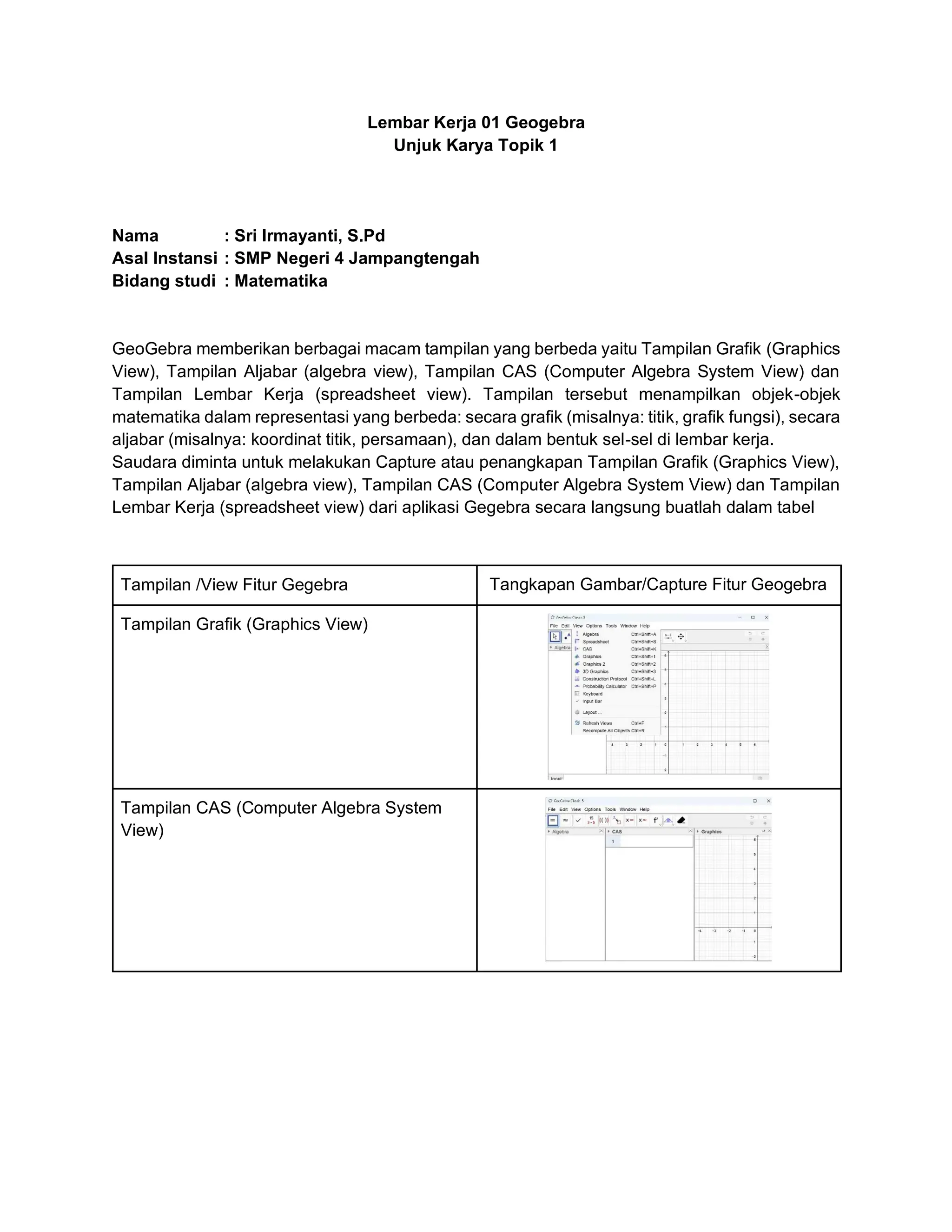 LK 01. Geogebra_Sri Irmayanti (1).pdf