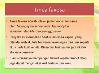 Tinea favosa | PPT