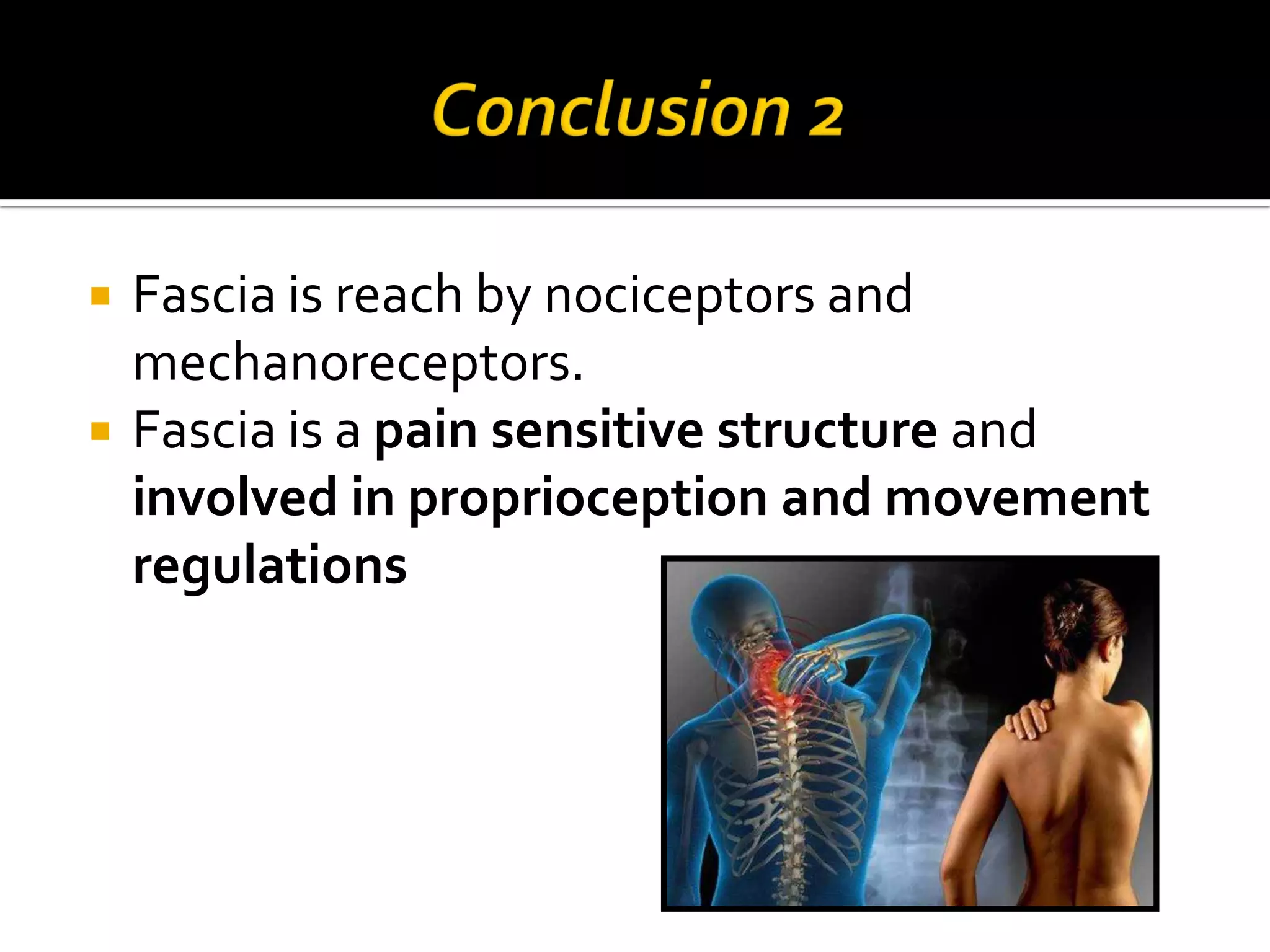 Fascial Manipulation | PDF