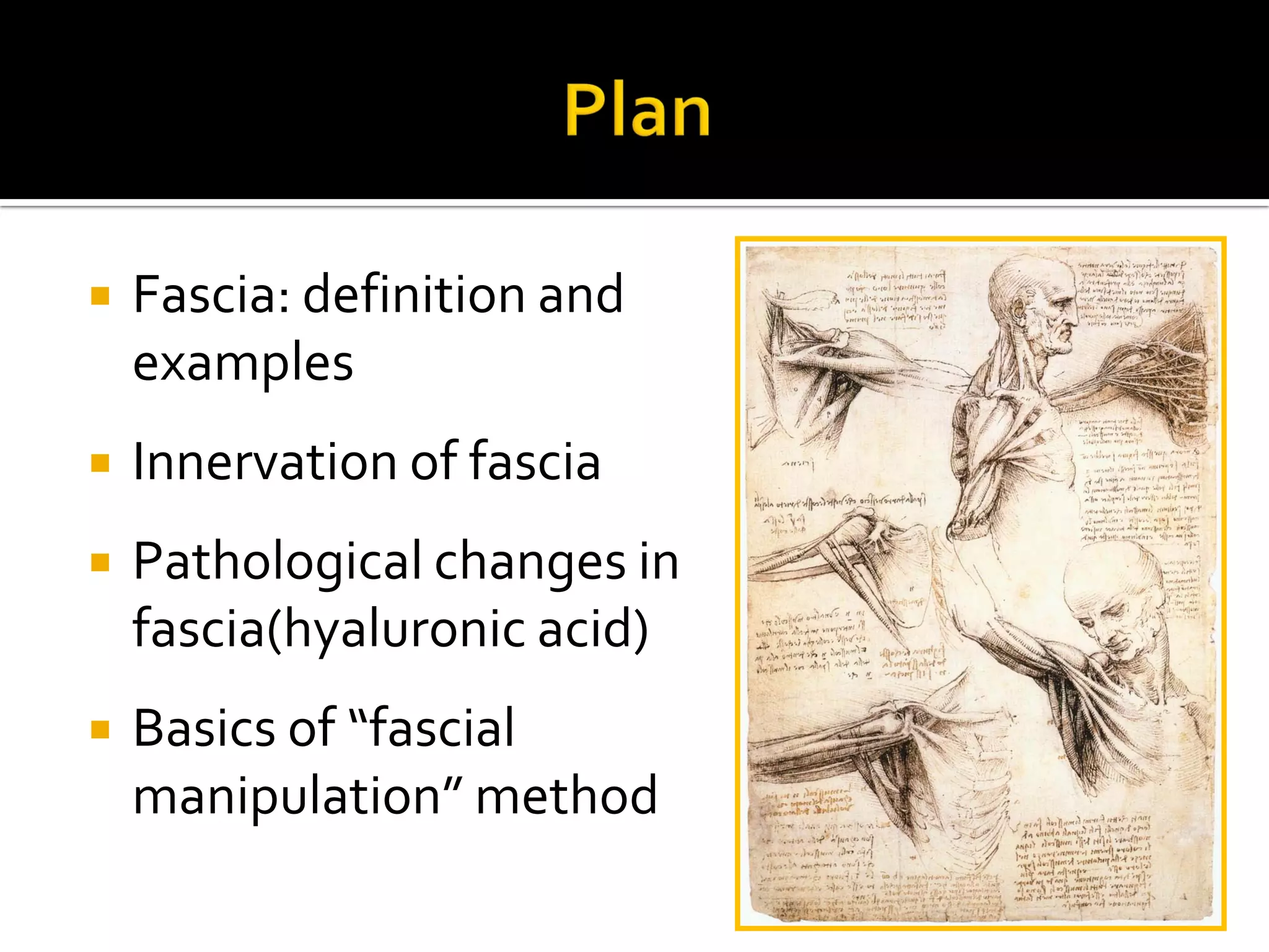 Fascial Manipulation | PDF
