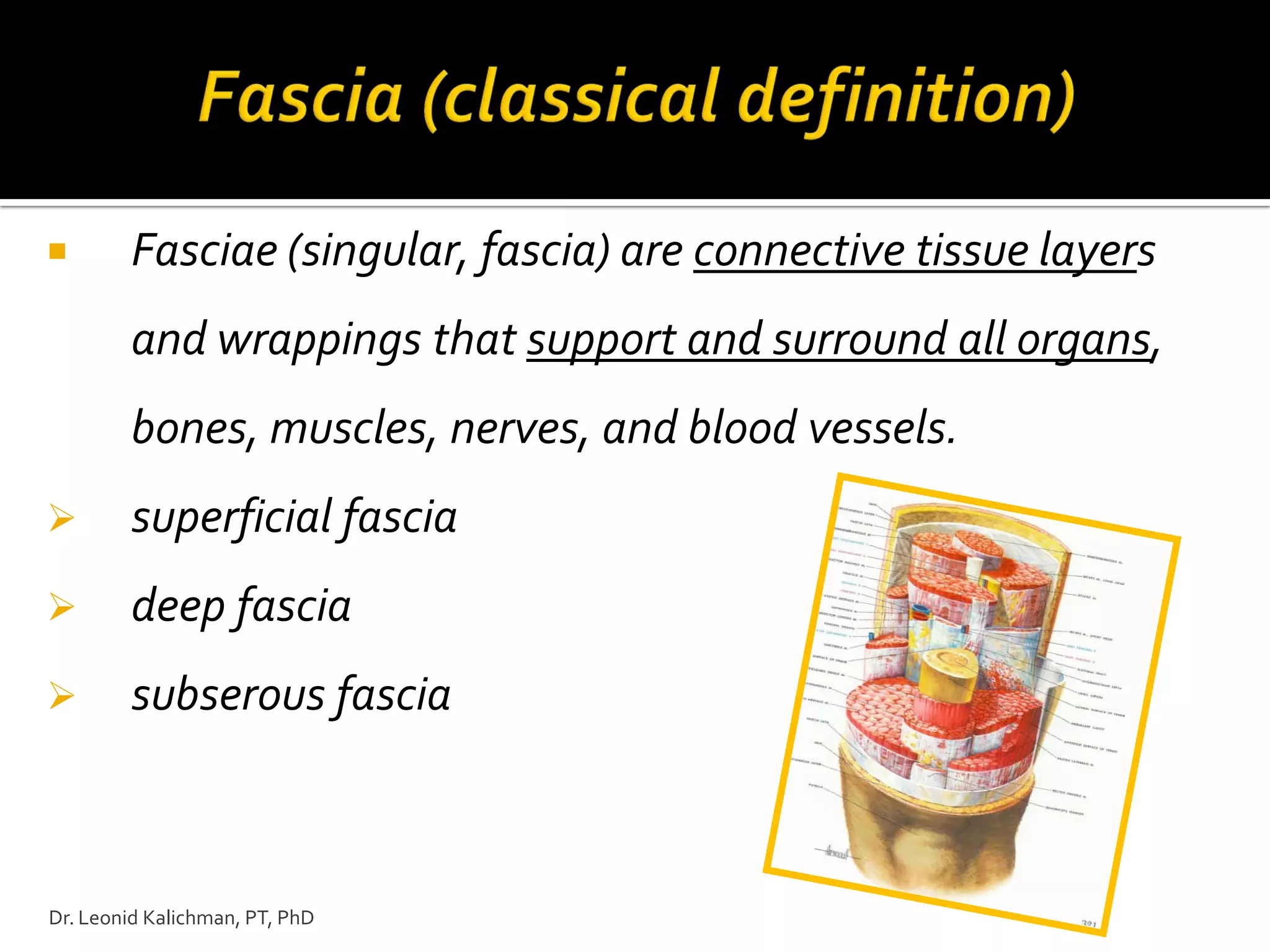 Fascial Manipulation | PDF