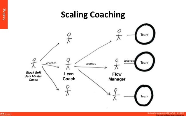 Lessons Learned from Coaching 50+ Teams
