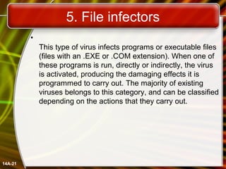 Viruses (Lecture) IT Slides # 3 | PPT