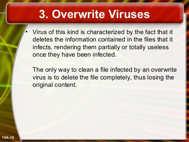 Viruses (Lecture) IT Slides # 3