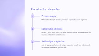 Widal Agglutination Test:A rapid serological diagnosis of typhoid fever ...