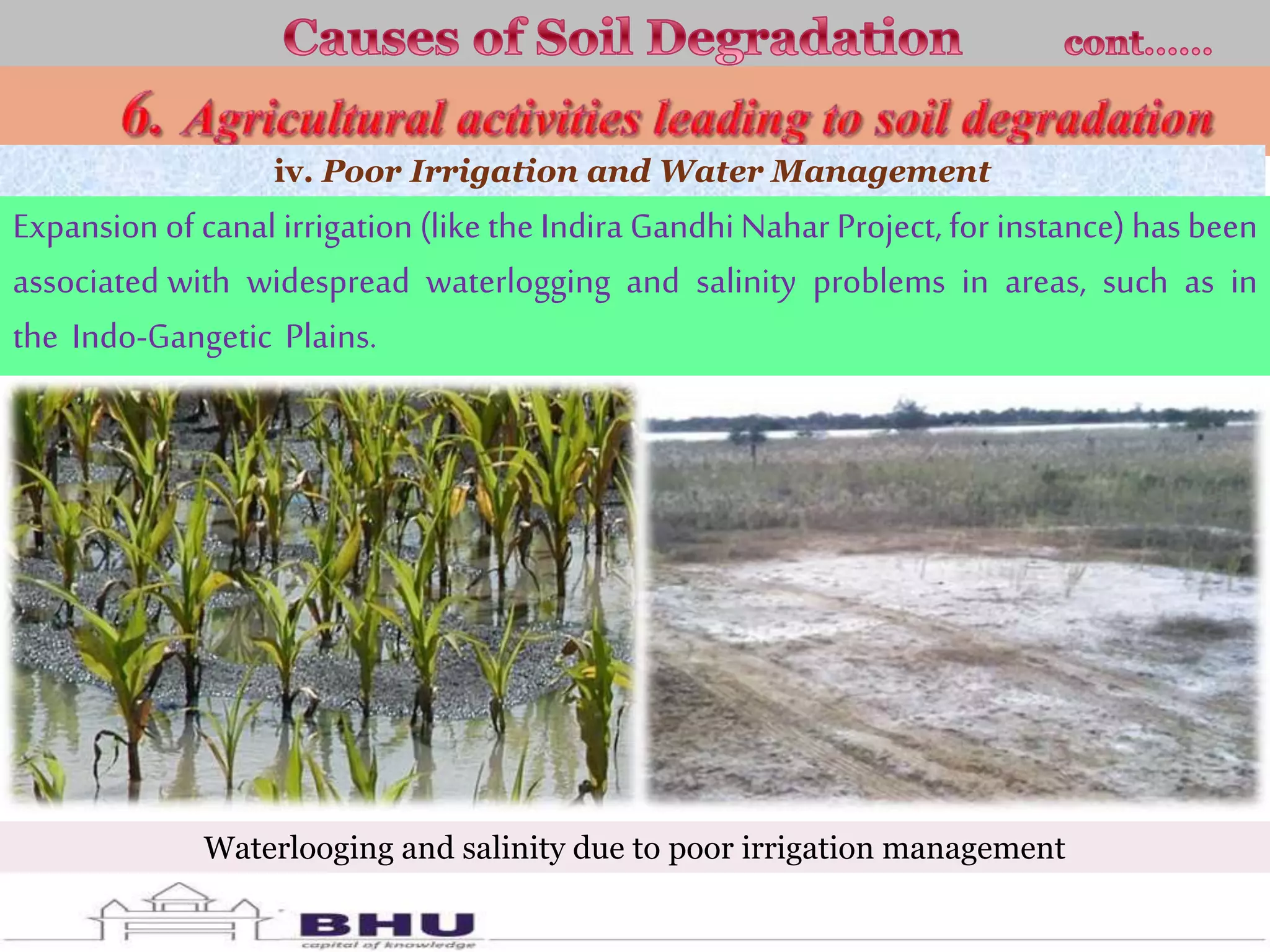 Soil Degradation in India: Challenges and Potential Solutions | PPTX