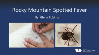 Rocky Mountain Spotted Fever Bacteria Shape