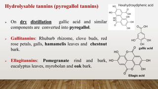 tannins.pptx