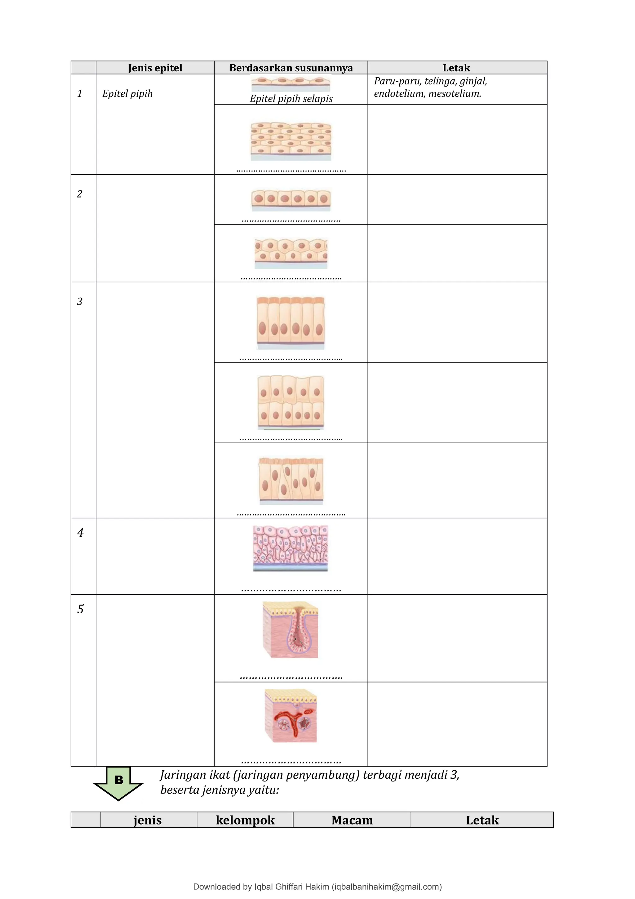 lembarkerjapesertadidik-jaringan-hewan.pdf