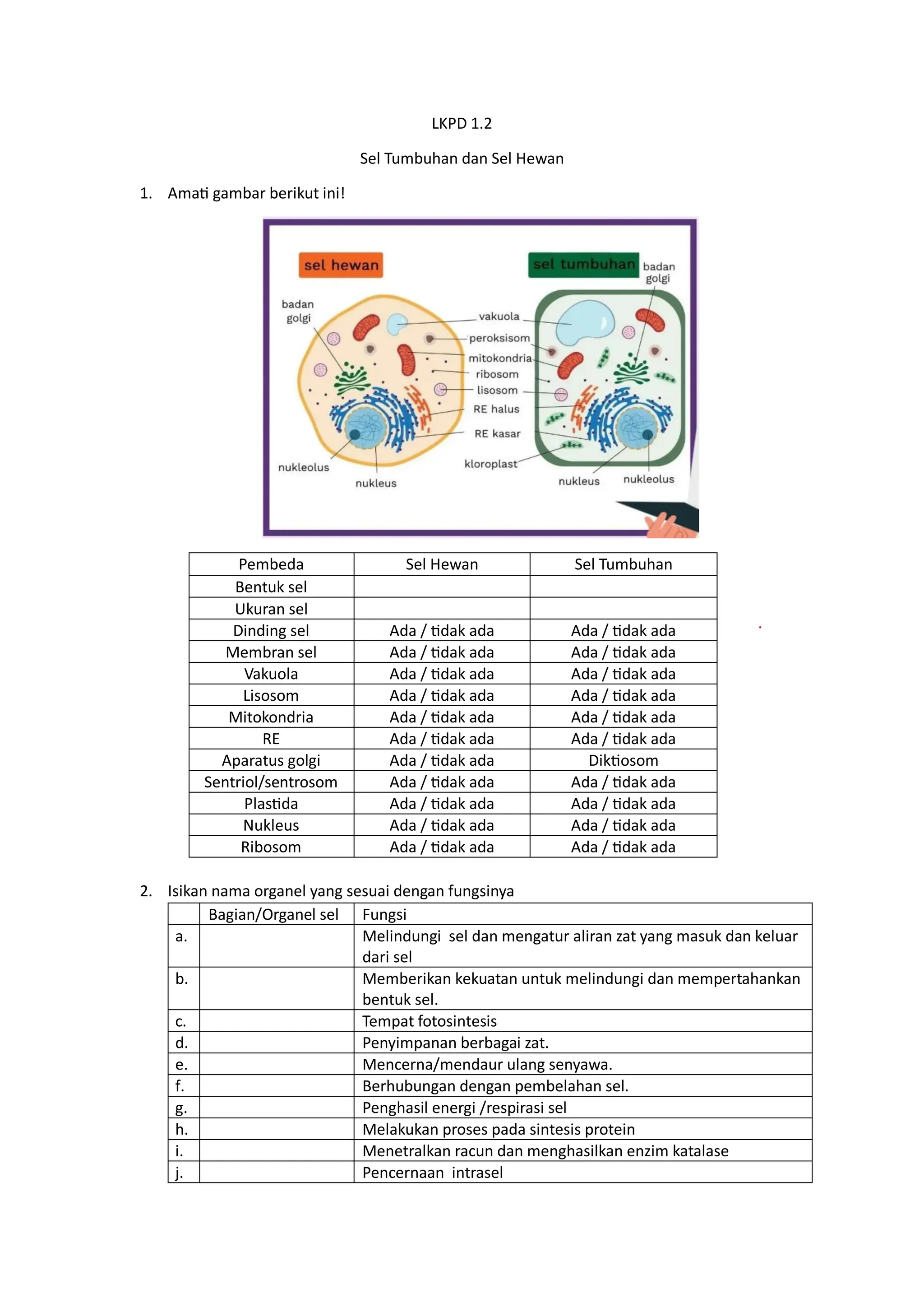 LKPD 1.2 Perbedaan sel tumbuhan dan sel hewan.pdf