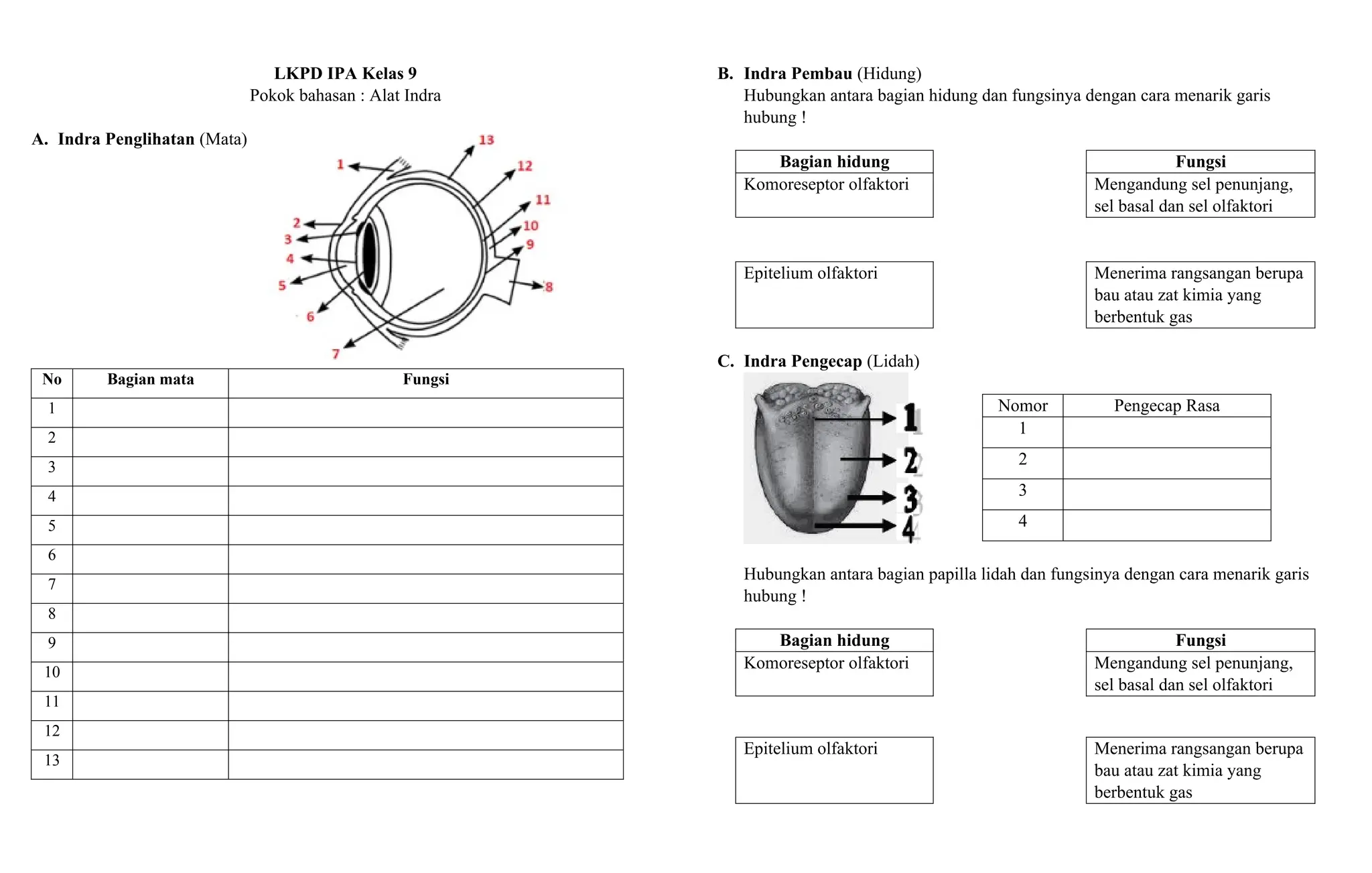 LKPD bab alat indra dan bagian-bagiannya kelas 8 SMP | DOCX