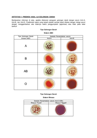 LKPD Golongan Darah.docx