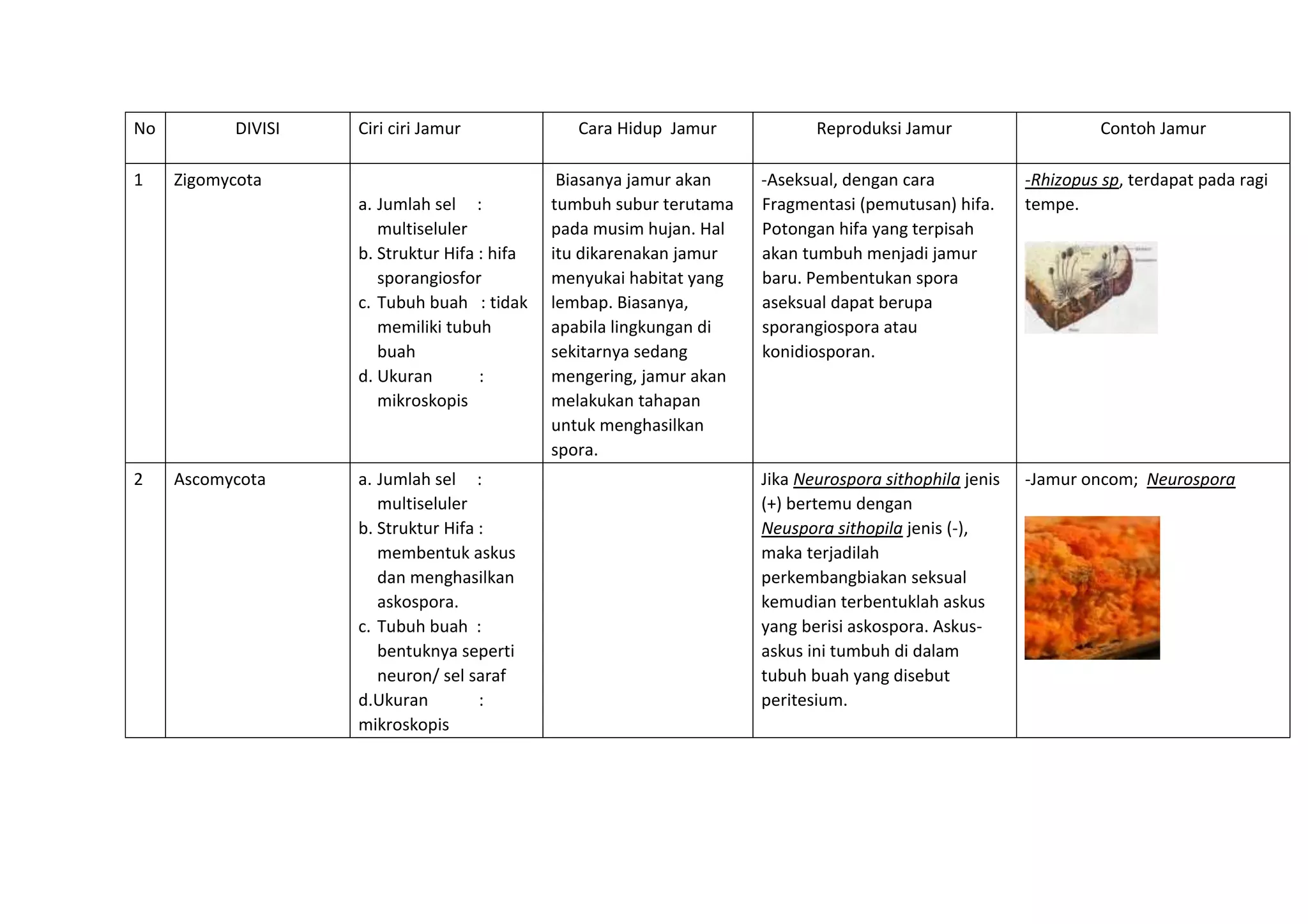 LKPD JAMUR KEL 1.docx