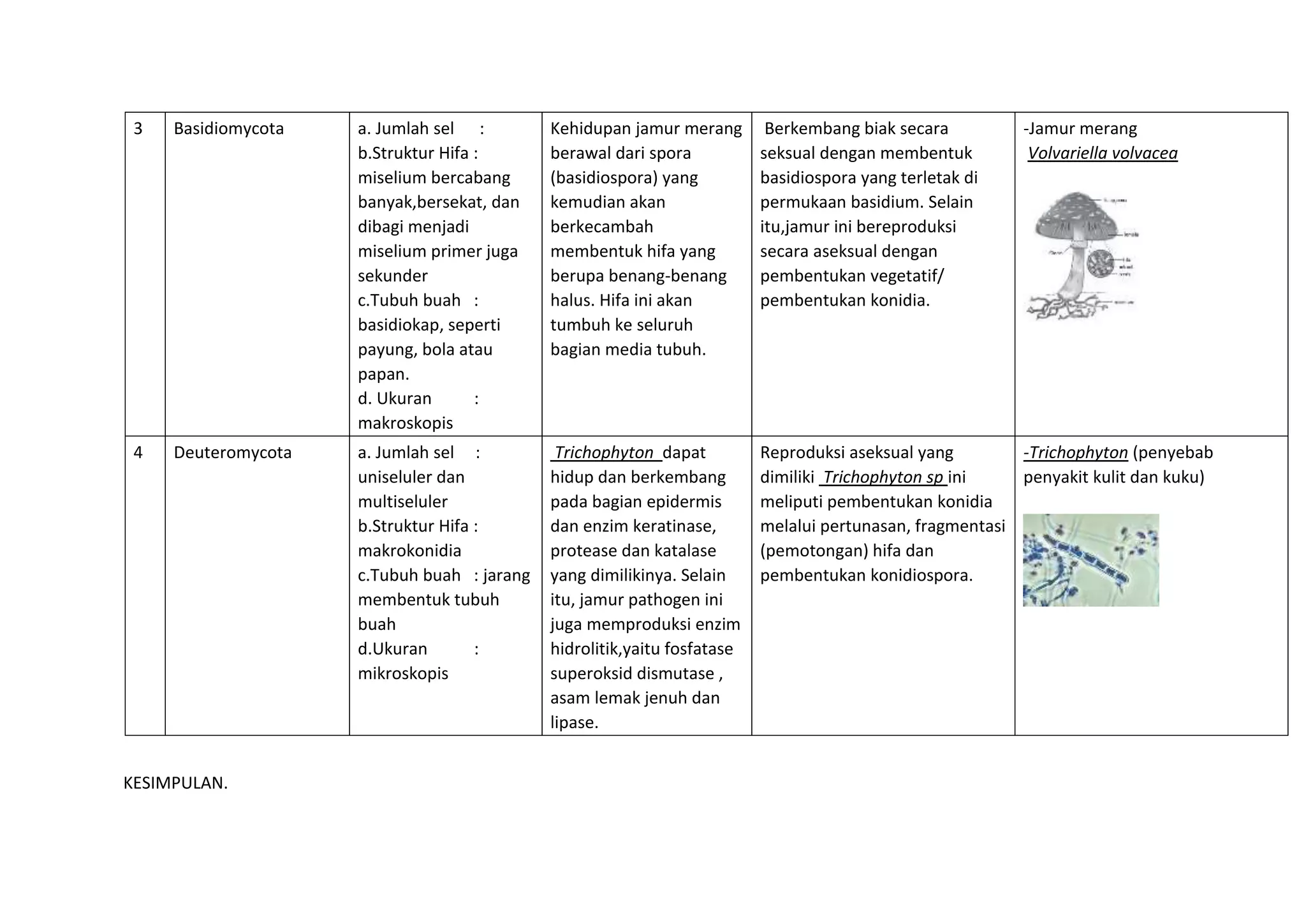 LKPD JAMUR KEL 1.docx