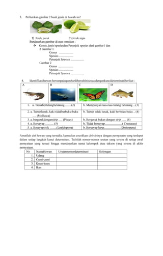 LKPD KLASIFIKASI MH 2, identifikasi makhluk hidup dan kladogram.docx