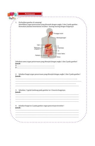 LKPD KELAS XI Microteaching Sistem Pencernaan | PDF
