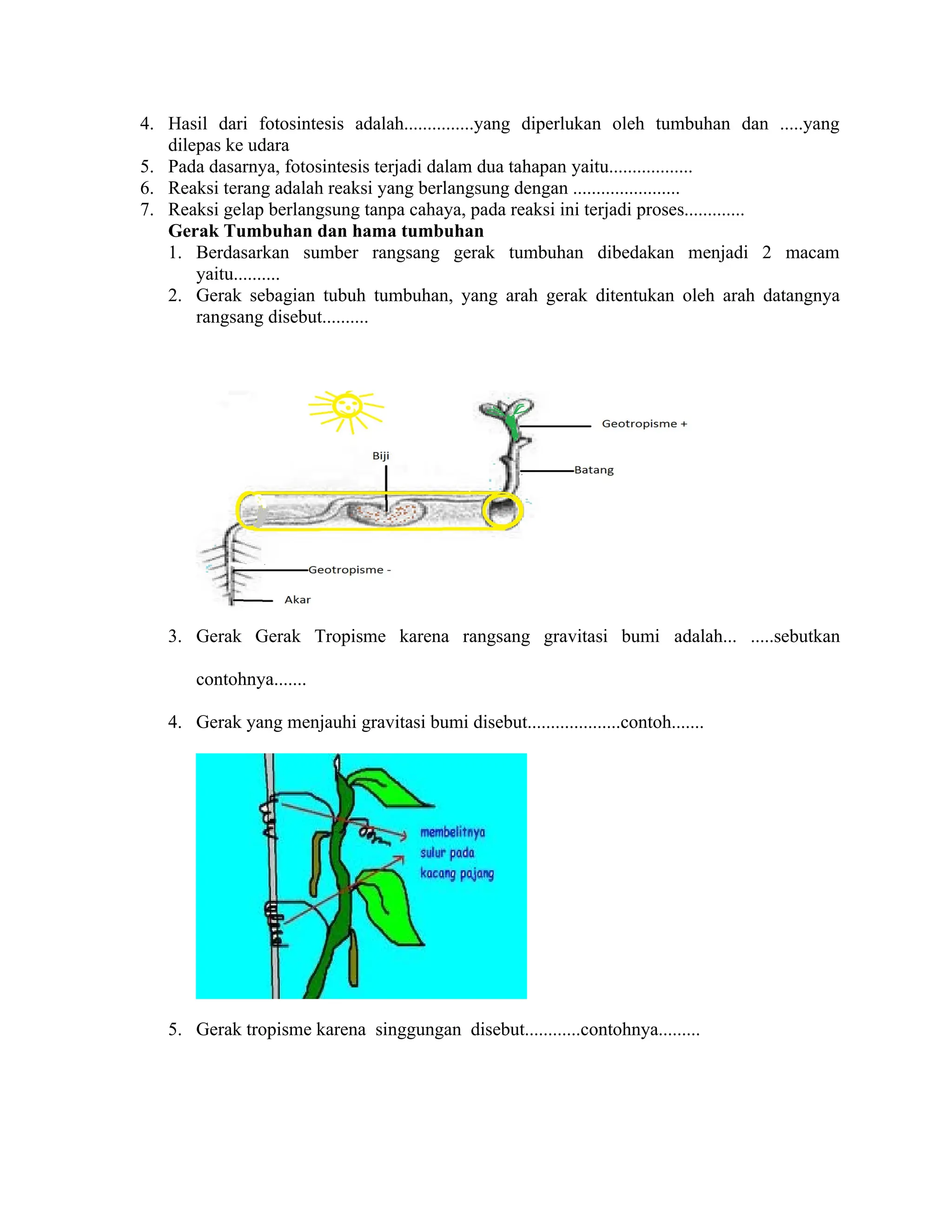 LKPD ORGAN PADA TUMBUHAN- BIOLOGI- XI- SMA- RATNA YULLY P.docx