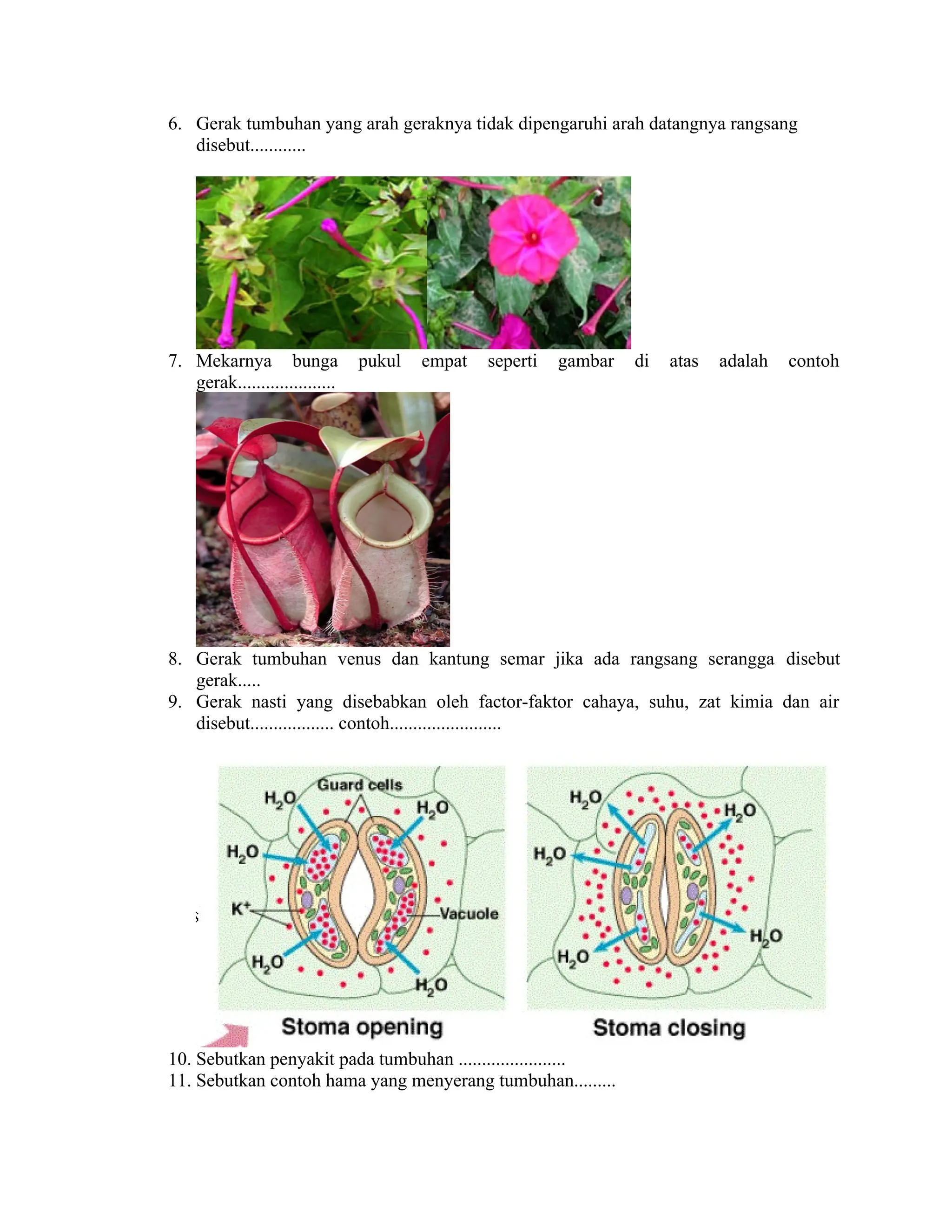 LKPD ORGAN PADA TUMBUHAN- BIOLOGI- XI- SMA- RATNA YULLY P.docx