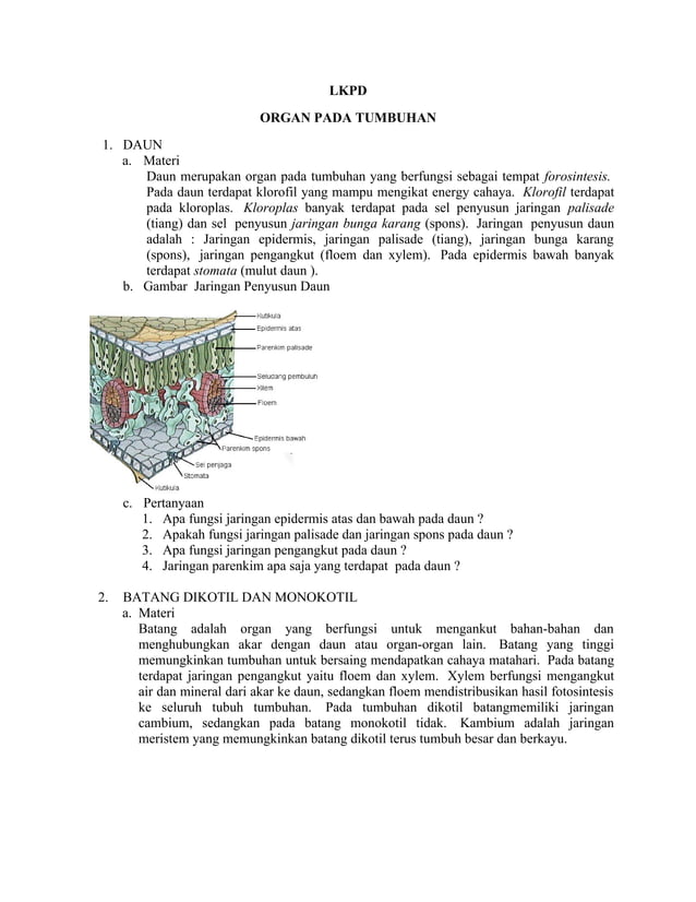 LKPD ORGAN PADA TUMBUHAN- BIOLOGI- XI- SMA- RATNA YULLY P.docx